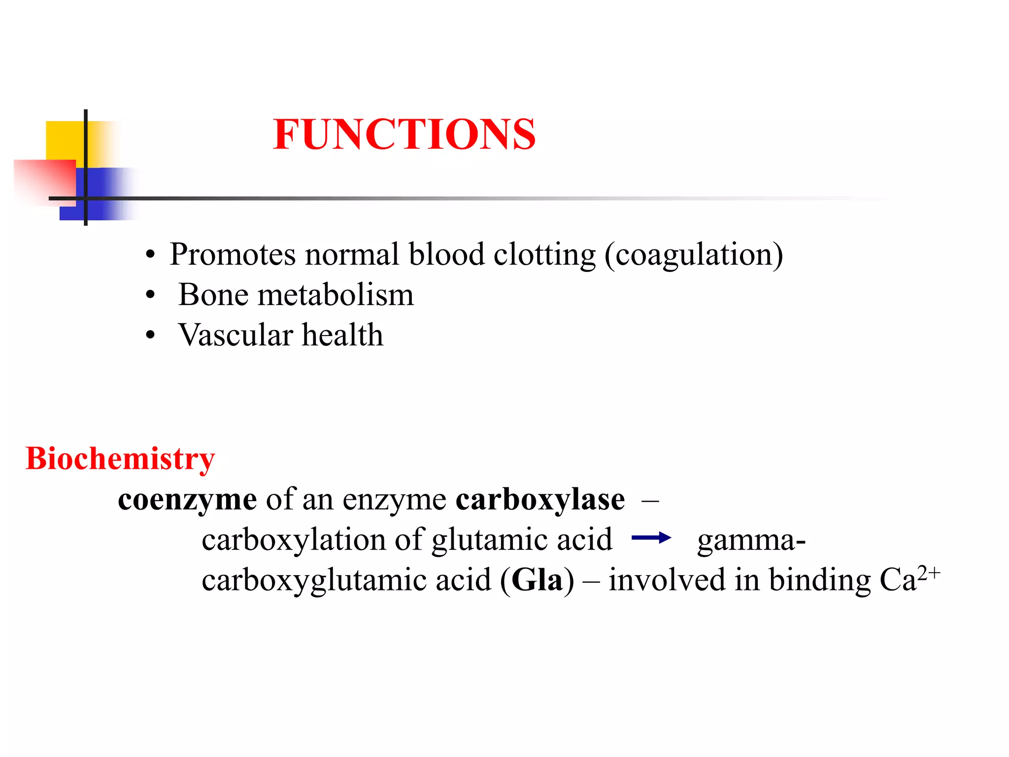 Lecture_Vitamins-2020.pdf