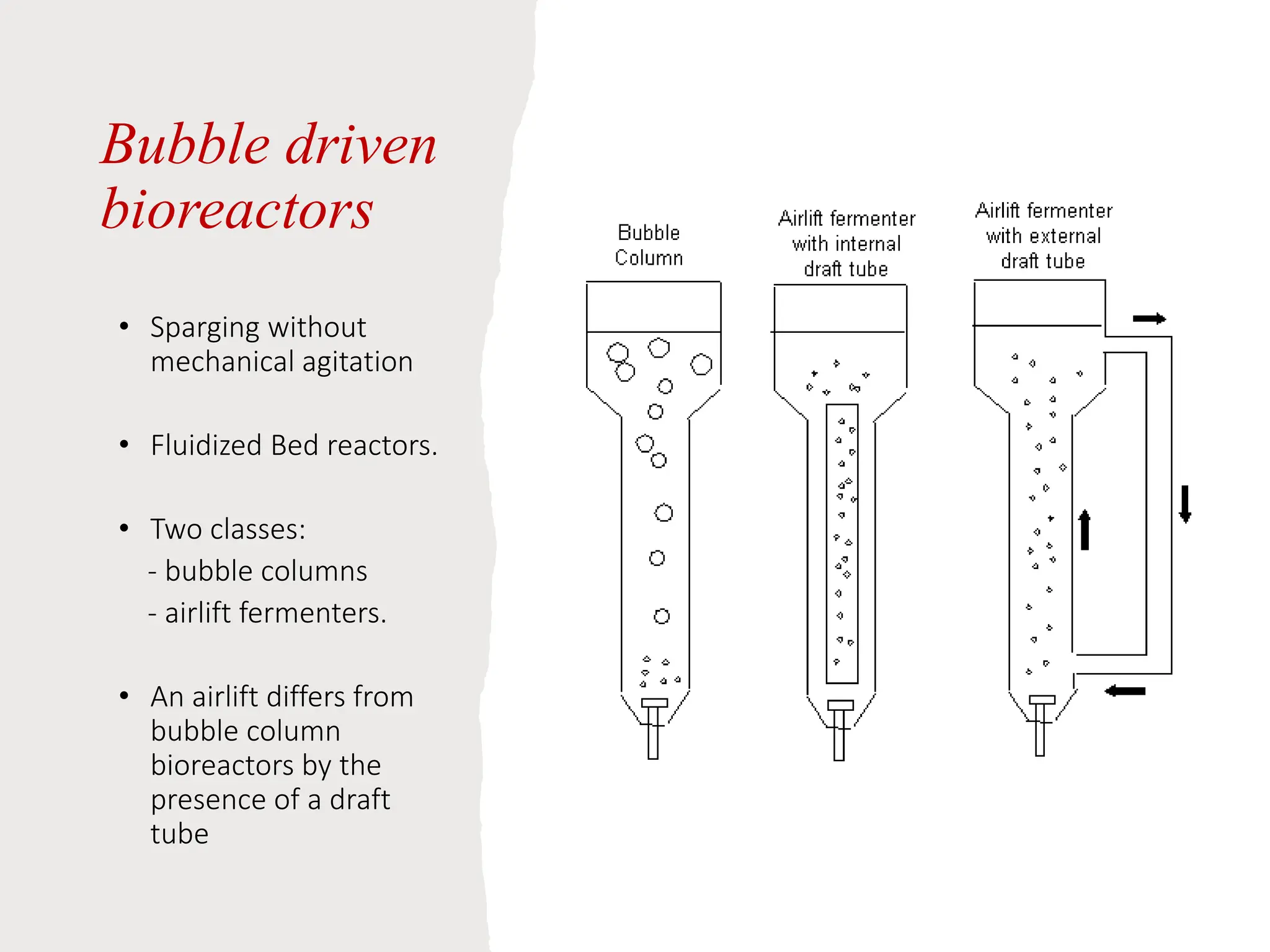 Lecture W1_Intro to Bioprocess_2587872.pdf