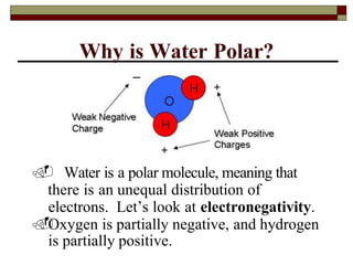 Lecture_Water.pptx