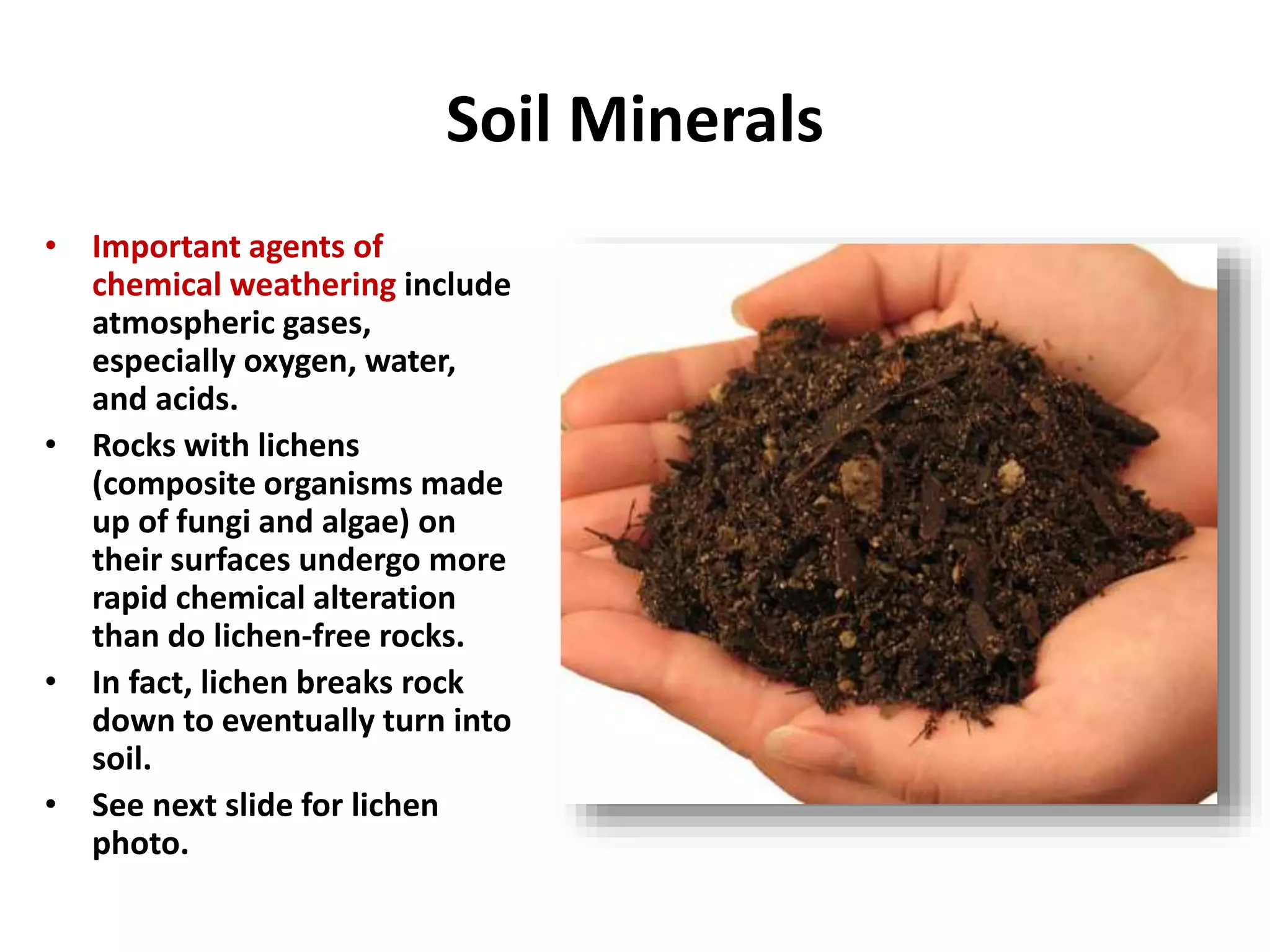 Lecture Weathering and Sedimentary Rocks.pptx