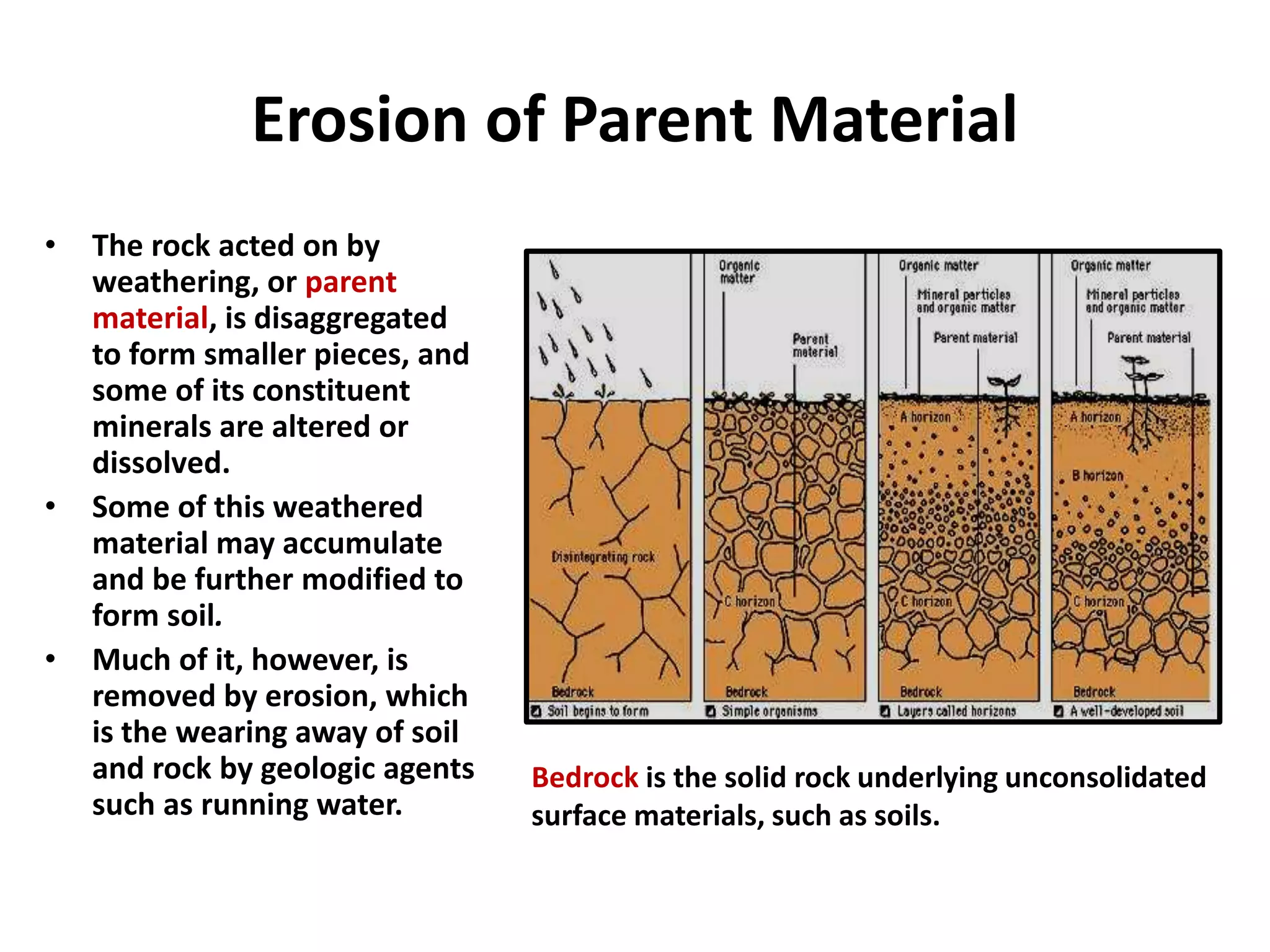 Lecture Weathering and Sedimentary Rocks.pptx