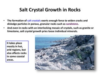 Salt Crystal Growth Weathering