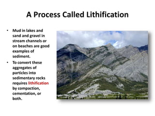 Lithification Definition