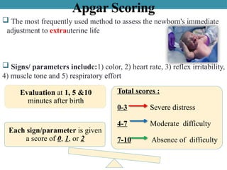 Lecture week 1- Part one 1.pptx and then I will | PPT