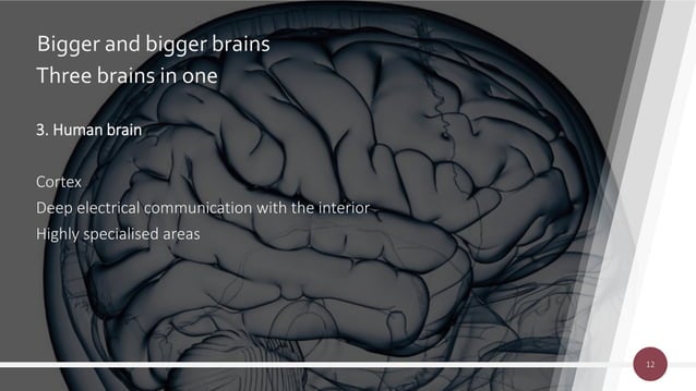 Lecture week1 2022 | PPT