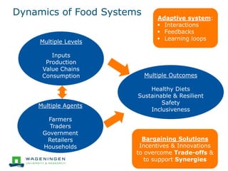 Lecture wur course food systems innovations | PPTX