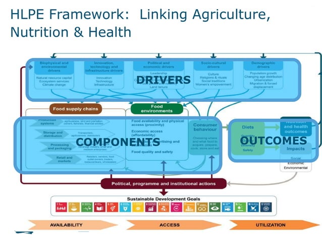 Lecture wur course food systems innovations | PPT