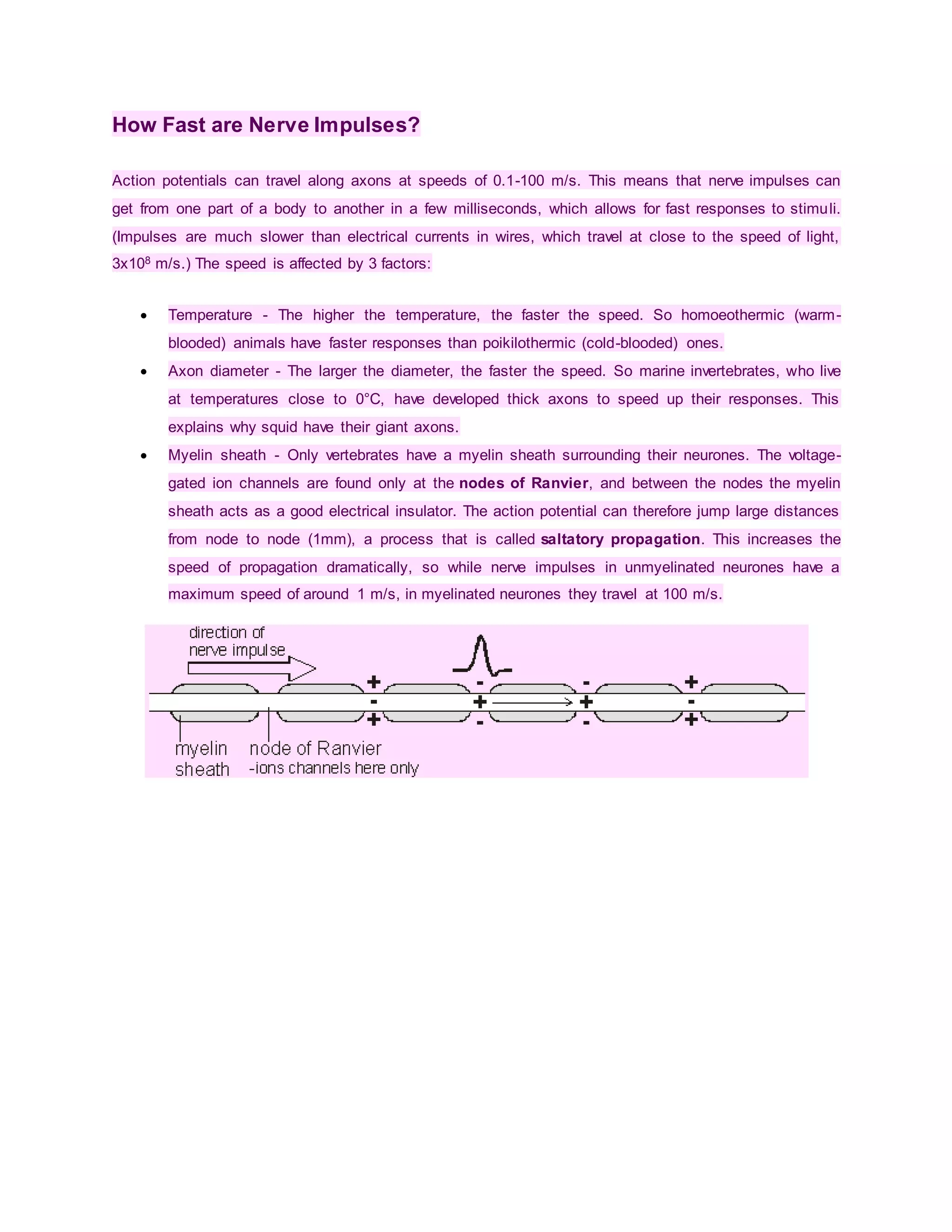 cape biology unit 2-_fundamentals_of_the_nervous_system | DOCX