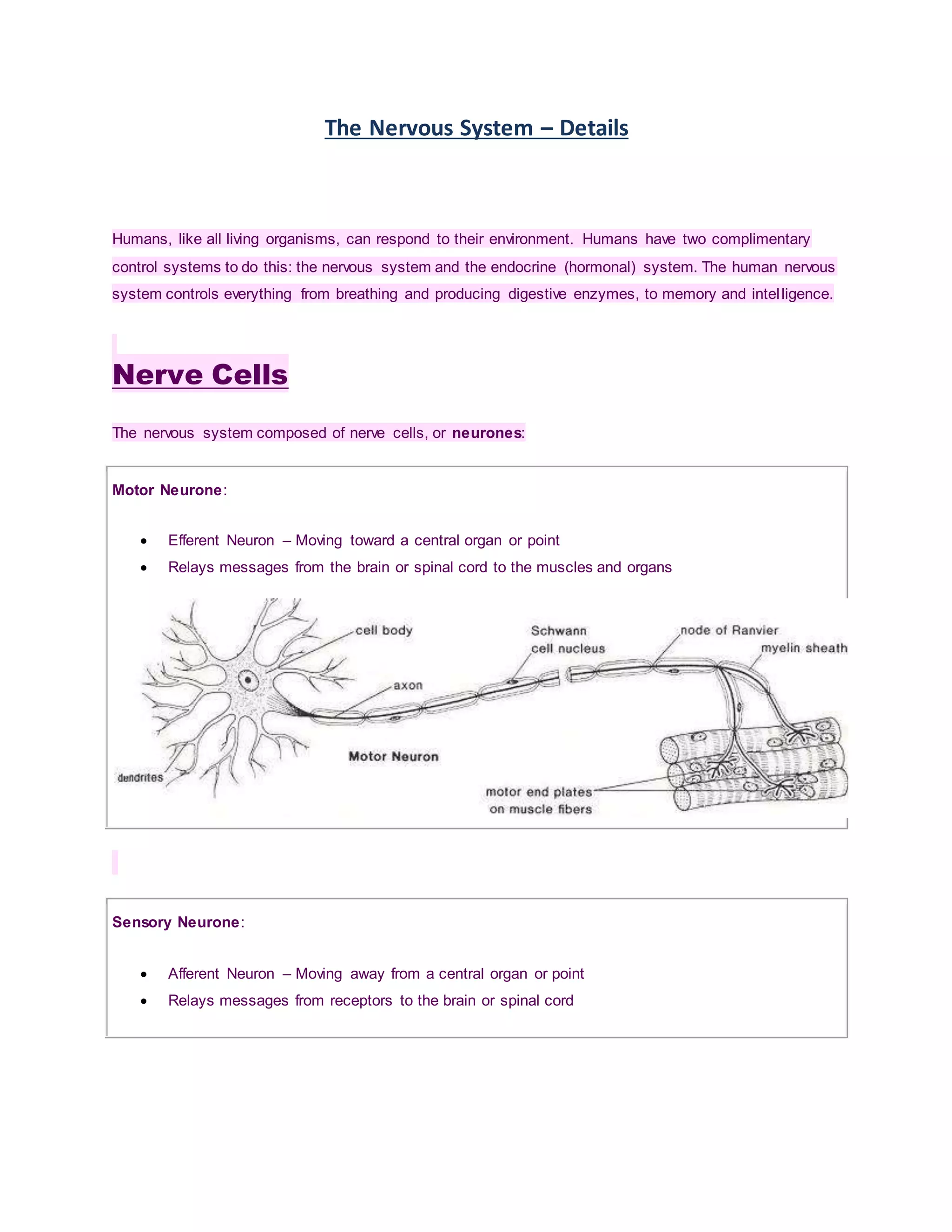 cape biology unit 2-_fundamentals_of_the_nervous_system | DOCX