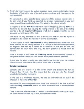 cape biology unit 2-_fundamentals_of_the_nervous_system | DOCX