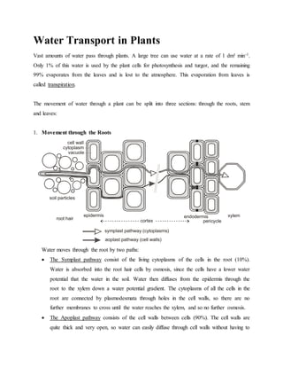 cape biology unit 2-_transport_systems_in_plants | DOCX