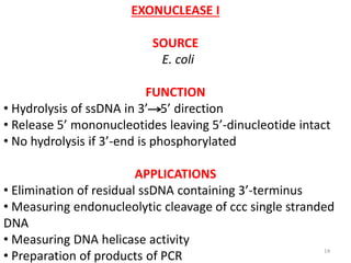 Lectut btn-202-ppt-l11. enzymes used in genetic engineering-ii | PPTX
