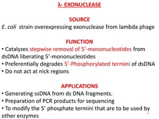 Lectut btn-202-ppt-l11. enzymes used in genetic engineering-ii | PPTX