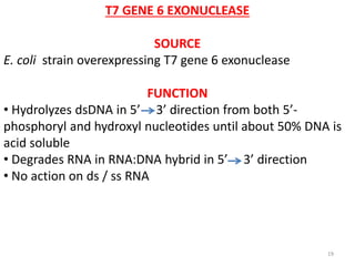 Lectut btn-202-ppt-l11. enzymes used in genetic engineering-ii | PPTX