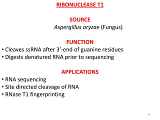 Lectut btn-202-ppt-l11. enzymes used in genetic engineering-ii | PPTX