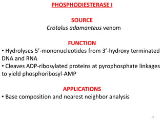 Lectut btn-202-ppt-l11. enzymes used in genetic engineering-ii | PPTX
