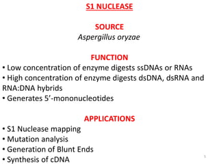Lectut btn-202-ppt-l11. enzymes used in genetic engineering-ii | PPTX
