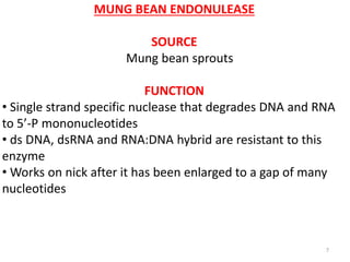 Lectut btn-202-ppt-l11. enzymes used in genetic engineering-ii | PPTX