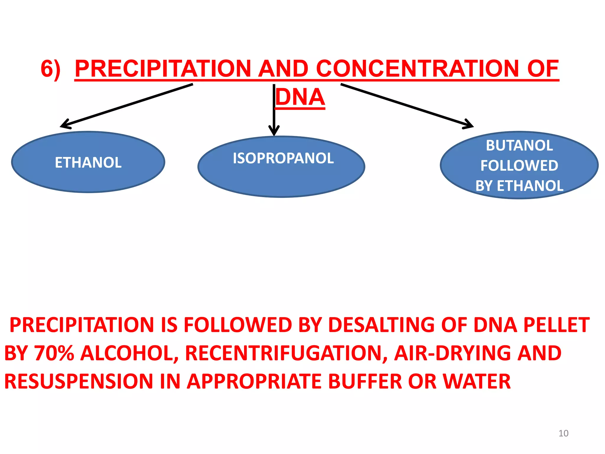 Lectut btn-202-ppt-l12. isolation and purification of total cellular ...