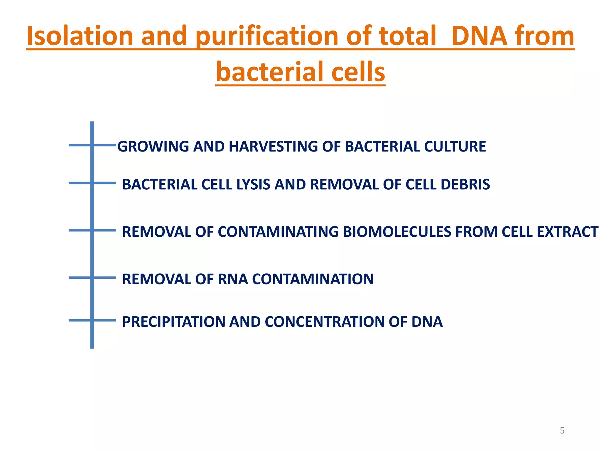 Lectut btn-202-ppt-l12. isolation and purification of total cellular ...