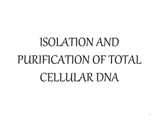Lectut btn-202-ppt-l12. isolation and purification of total cellular ...