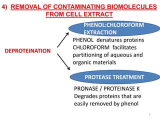 Lectut btn-202-ppt-l12. isolation and purification of total cellular ...