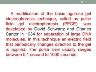 Lectut btn-202-ppt-l13. gel electrophoresis | PPT