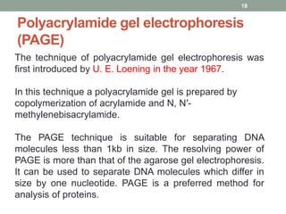 Lectut btn-202-ppt-l13. gel electrophoresis | PPTX