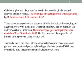 Lectut btn-202-ppt-l13. gel electrophoresis | PPT