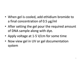 Lectut btn-202-ppt-l14. types of gel electrophoresis | PPTX