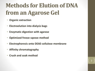 Lectut btn-202-ppt-l16. recovery of dna from agarose gel | PPTX