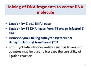 Lectut btn-202-ppt-l19. construction of dna libraries | PPTX | Biotech ...