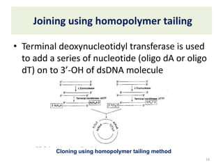 Lectut btn-202-ppt-l19. construction of dna libraries | PPTX | Biotech ...