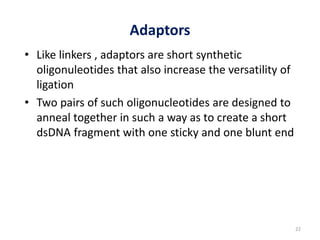 Lectut btn-202-ppt-l19. construction of dna libraries | PPT