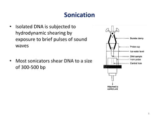 Lectut btn-202-ppt-l19. construction of dna libraries | PPTX | Biotech ...
