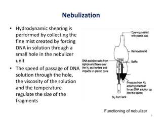 Lectut btn-202-ppt-l19. construction of dna libraries | PPTX | Biotech ...