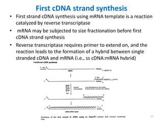 Lectut btn-202-ppt-l20. genomic and c dna libraries | PPT