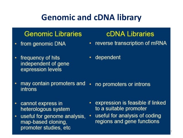 Lectut btn-202-ppt-l20. genomic and c dna libraries