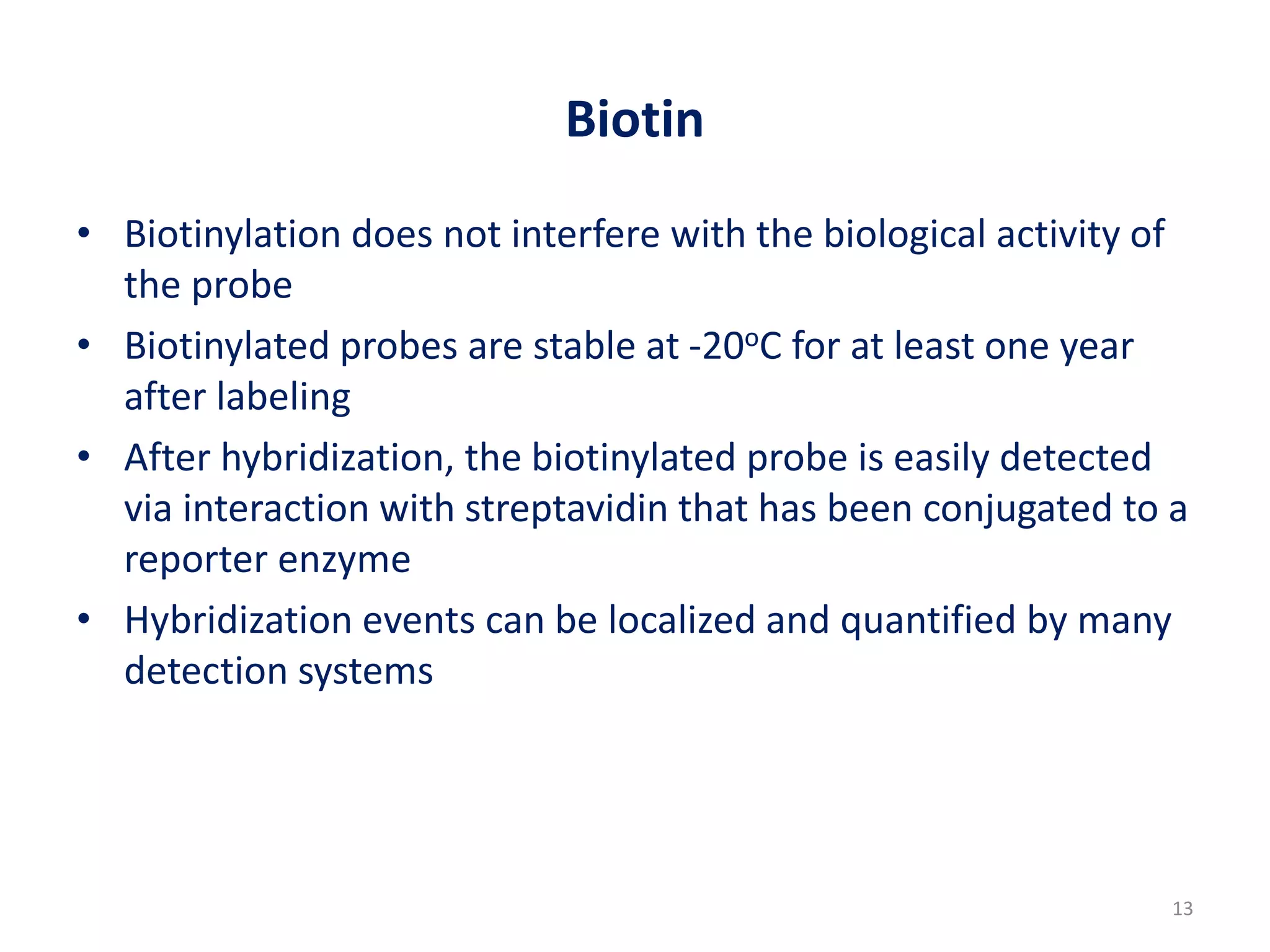 Lectut btn-202-ppt-l23. labeling techniques for nucleic acids | PPTX