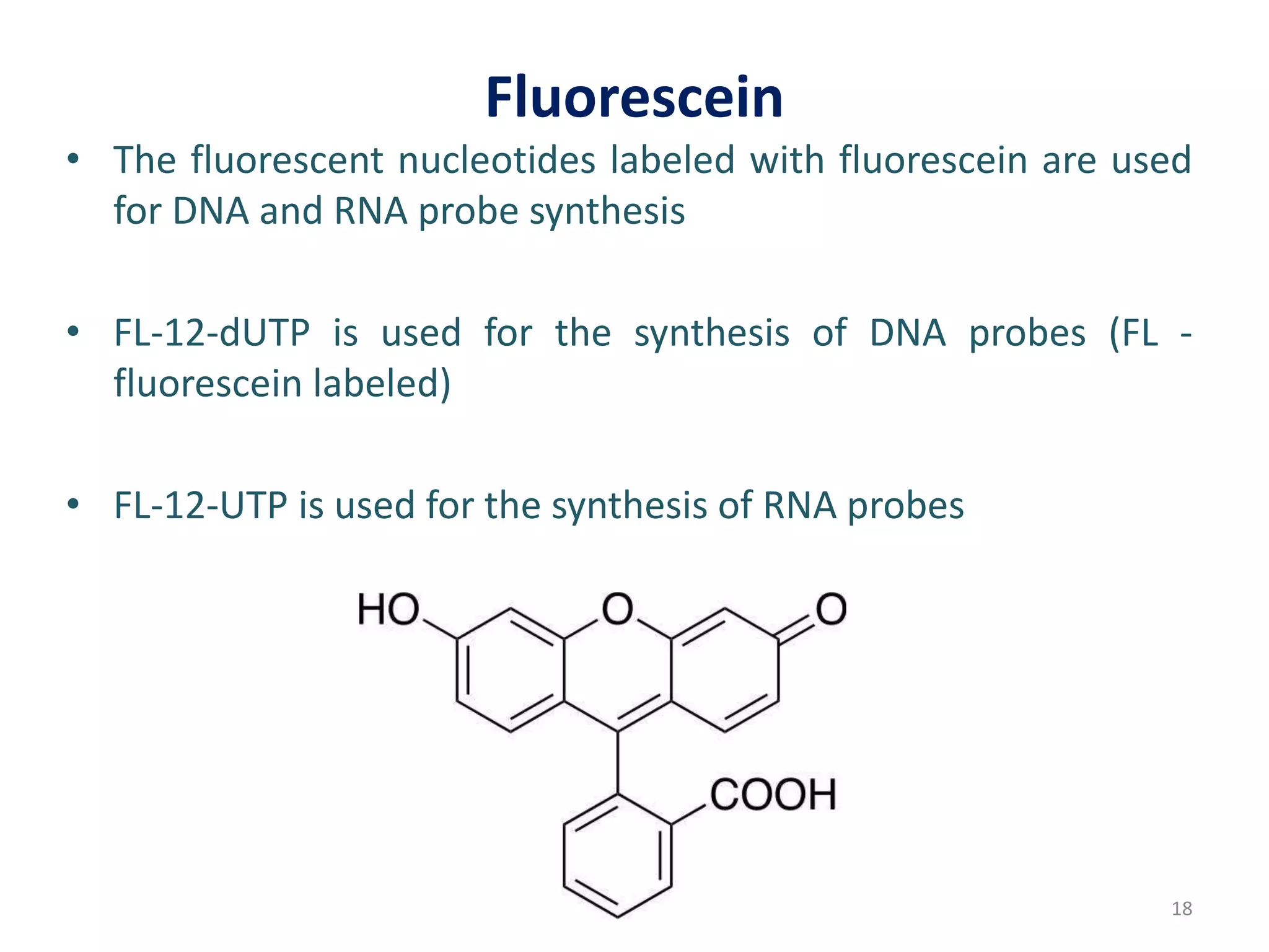 Lectut btn-202-ppt-l23. labeling techniques for nucleic acids | PPTX