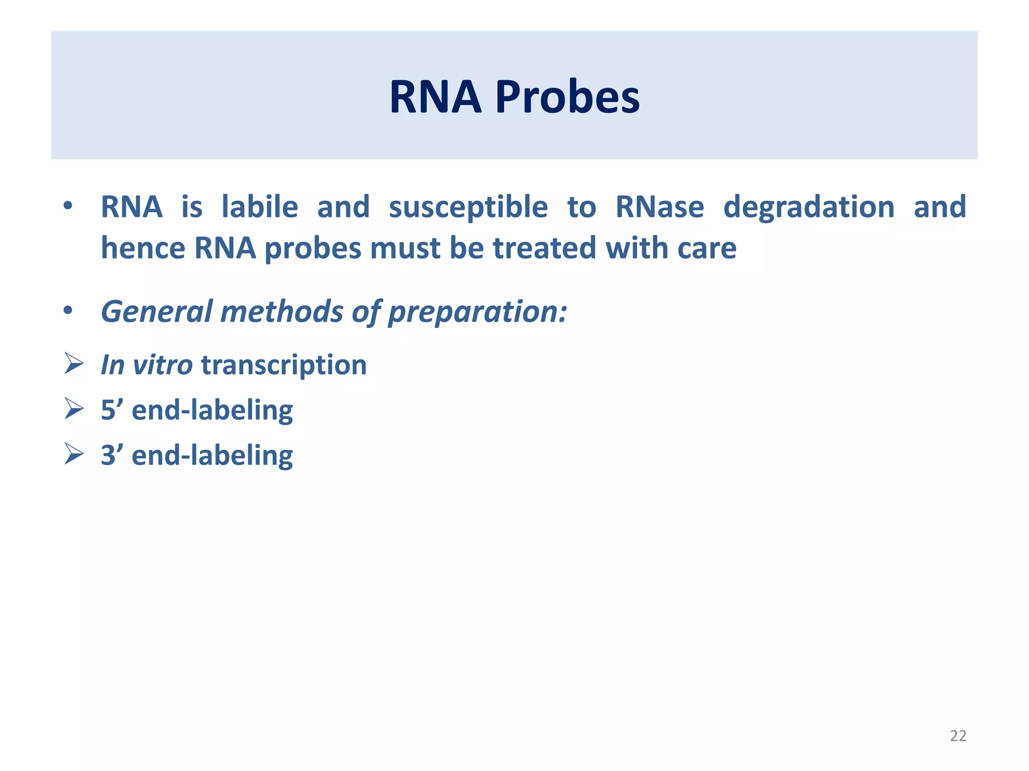 Lectut btn-202-ppt-l23. labeling techniques for nucleic acids | PPTX