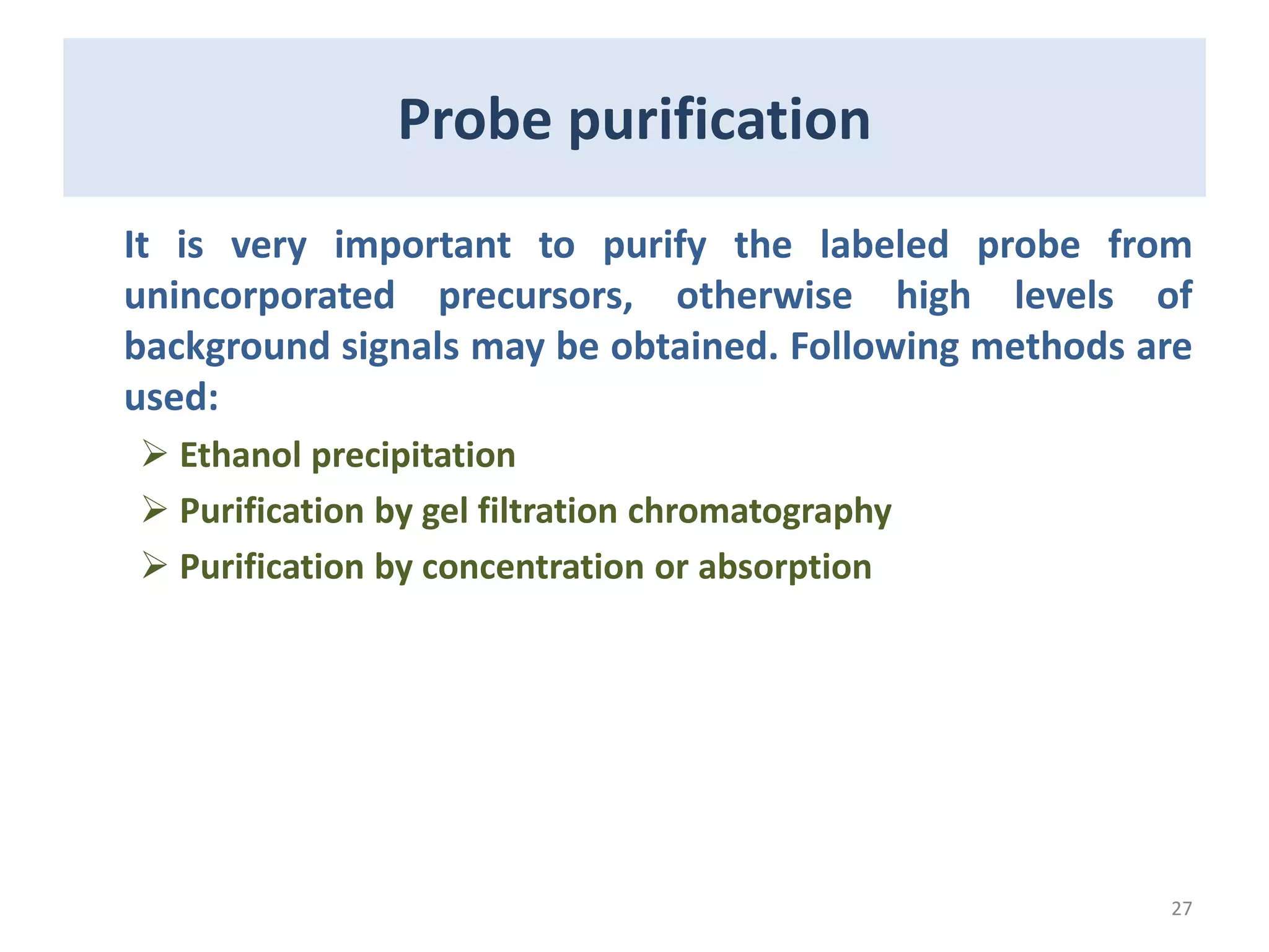 Lectut btn-202-ppt-l23. labeling techniques for nucleic acids | PPTX