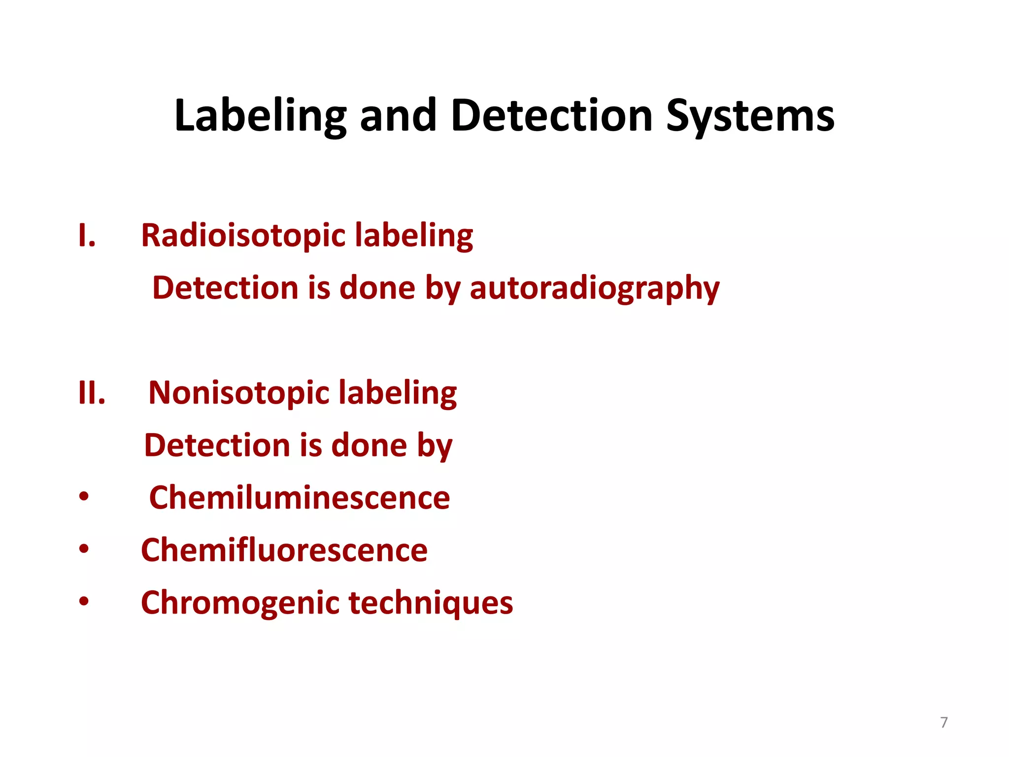 Lectut btn-202-ppt-l23. labeling techniques for nucleic acids | PPTX