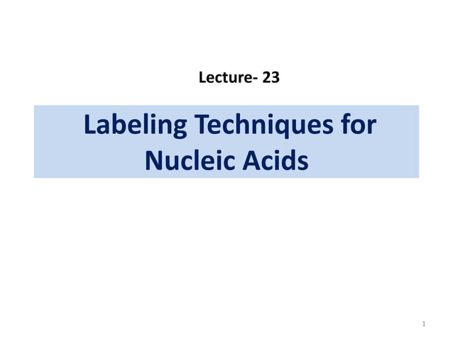 Lectut btn-202-ppt-l23. labeling techniques for nucleic acids | PPTX ...
