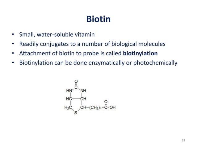 Lectut btn-202-ppt-l23. labeling techniques for nucleic acids | PPTX ...