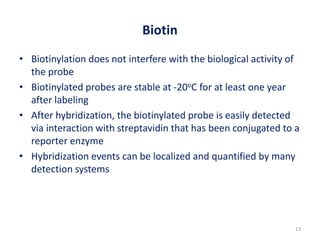 Lectut btn-202-ppt-l23. labeling techniques for nucleic acids | PPTX