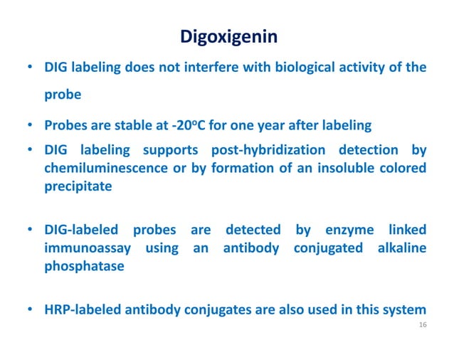 Lectut btn-202-ppt-l23. labeling techniques for nucleic acids | PPTX ...