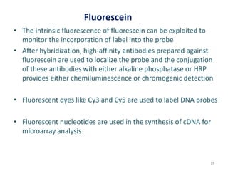 Lectut btn-202-ppt-l23. labeling techniques for nucleic acids | PPTX