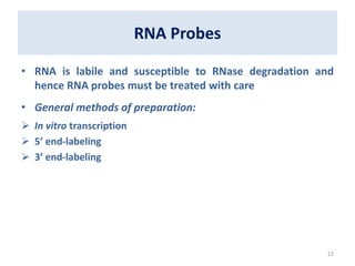 Lectut btn-202-ppt-l23. labeling techniques for nucleic acids | PPTX