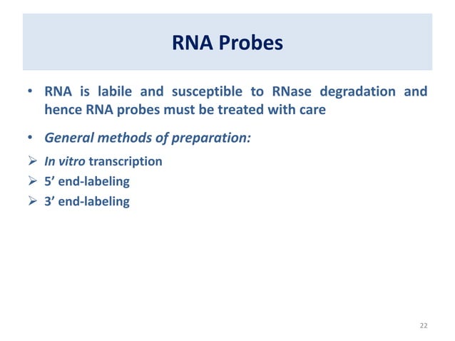 Lectut btn-202-ppt-l23. labeling techniques for nucleic acids | PPTX ...